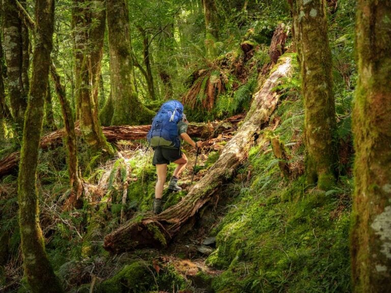 Gillespie Pass Circuit | Is This New Zealand’s Best Multi-Day Hike?