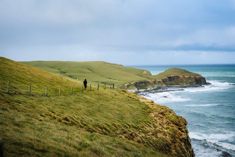 Long Point Track | A Hidden Gem In The Catlins