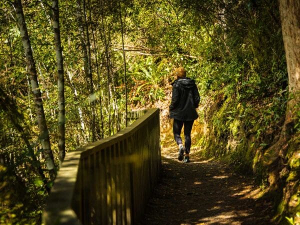 Purakaunui Falls | An Unmissable Waterfall In The Catlins
