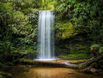 6 Awesome Waterfalls In The Catlins To Add To Your Road Trip