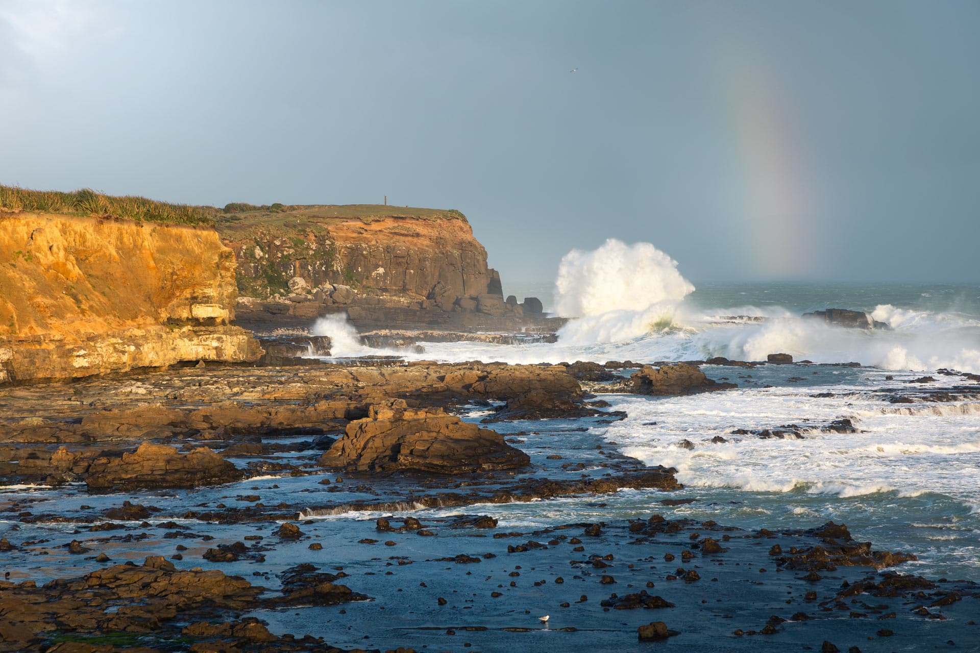 16 Adventurous Things To Do In The Catlins, New Zealand