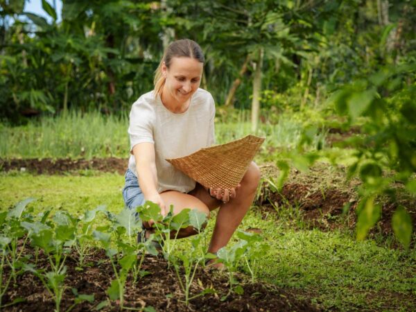 Bali Farm Cooking School | The Best Cooking Class In Ubud
