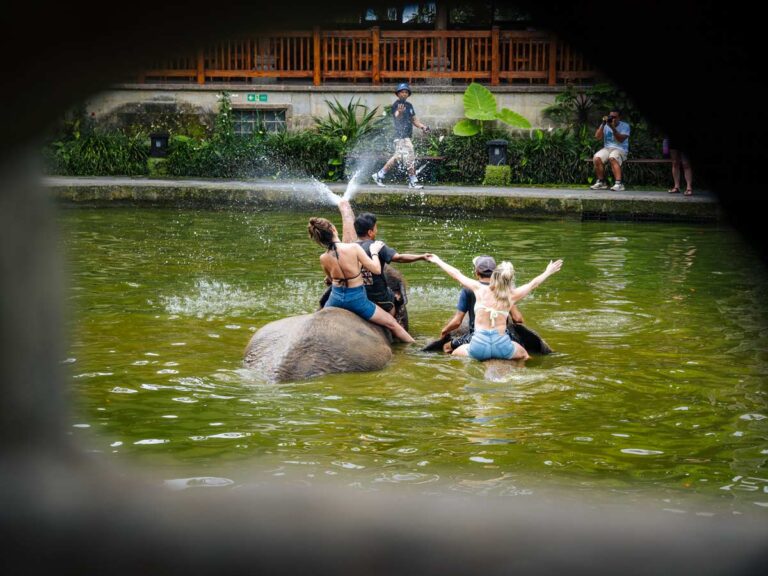 Mason Elephant Park | Is This Elephant Sanctuary In Bali Ethical?