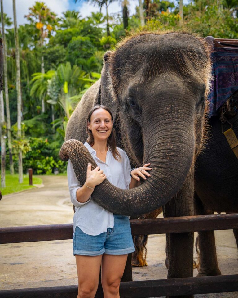 Mason Elephant Park | Is This Elephant Sanctuary In Bali Ethical?