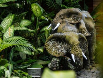 Mason Elephant Park | Is This Elephant Sanctuary In Bali Ethical?