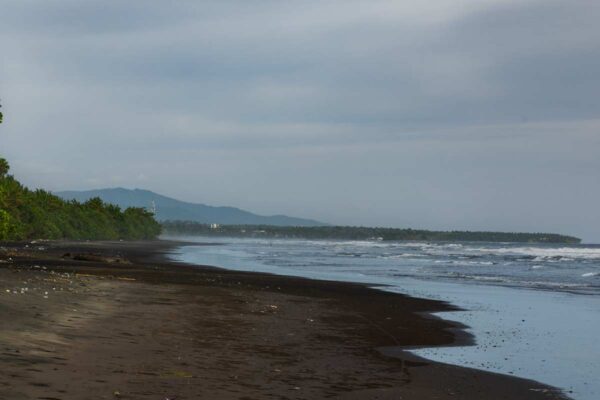 14 Best Things To Do In Medewi | Bali’s Best Kept Secret