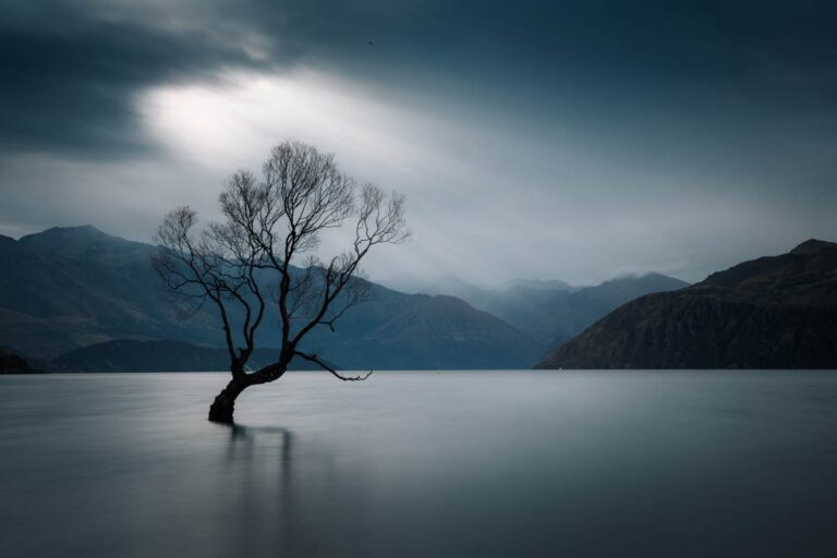 15 Best Places To Stay In Wanaka For All Budgets