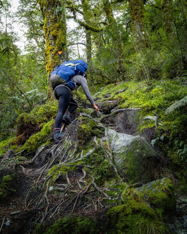 Liverpool Hut, New Zealand | A Must Do Hike Near Wanaka
