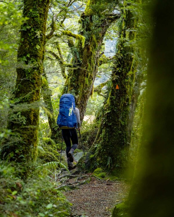 Liverpool Hut, New Zealand | A Must Do Hike Near Wanaka