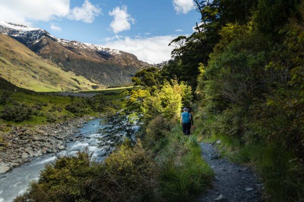 Rob Roy Glacier Track | An Easy Hike With Stellar Views