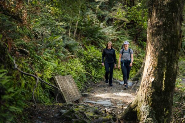 Rob Roy Glacier Track | An Easy Hike With Stellar Views