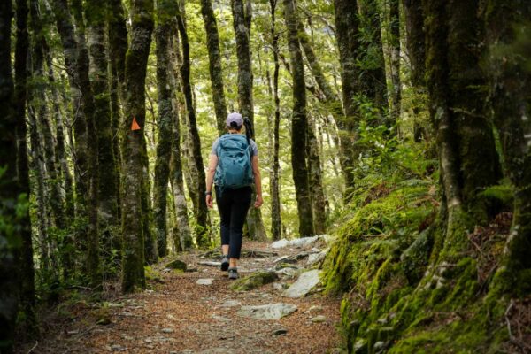 Rob Roy Glacier Track | An Easy Hike With Stellar Views