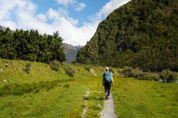 Rob Roy Glacier Track | An Easy Hike With Stellar Views